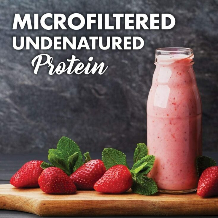 Bluebonnet Whey Protein Isolate Review: Is it Worth it?