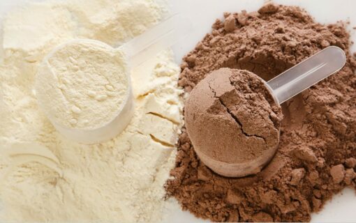 Mammoth Whey Review: Is This the Supplement for You?