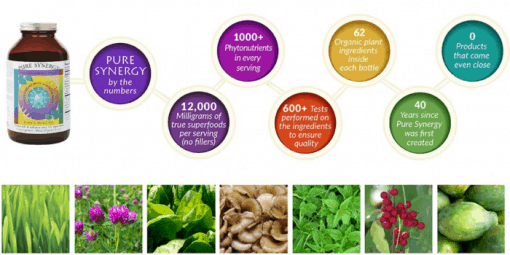 Pure Synergy Superfood Review: Ingredients, Pros, Cons, And More