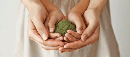 Pure Synergy Superfood Review: Ingredients, Pros, Cons, And More