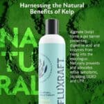 Best Alginate Supplements for Reflux: My Top Picks